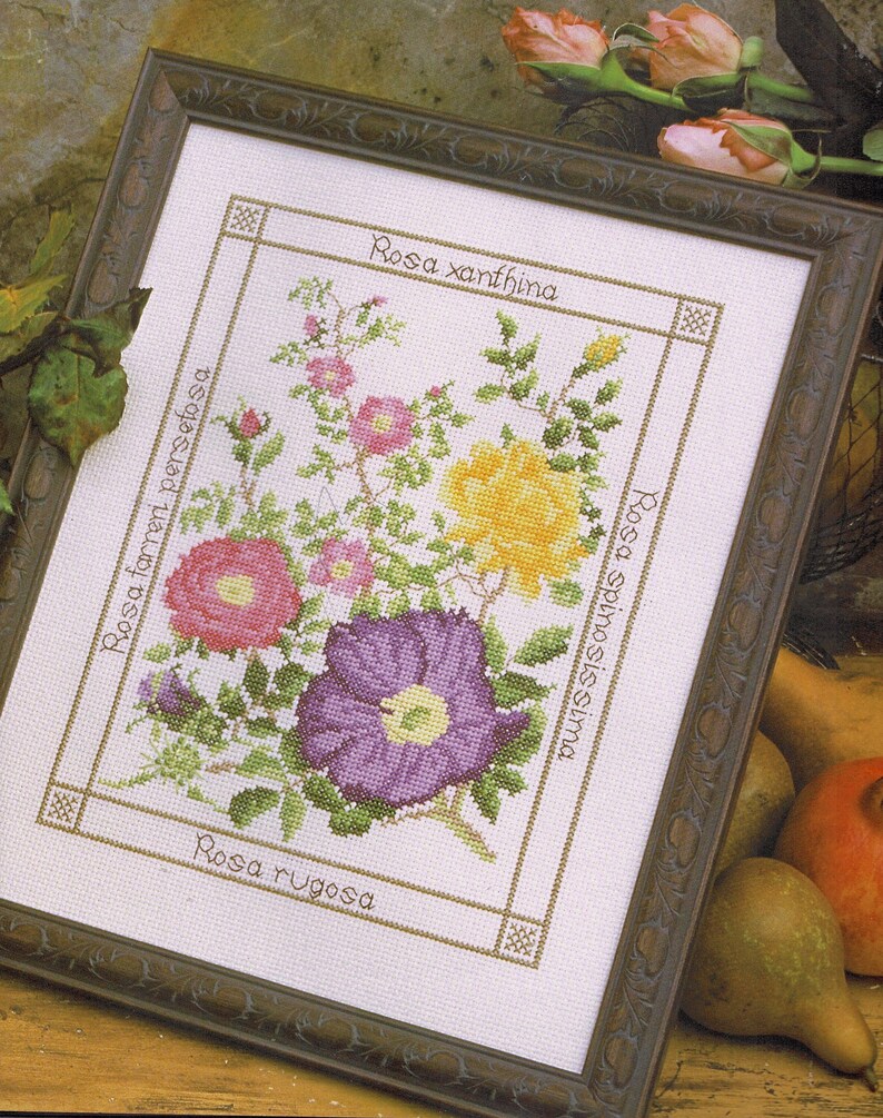 Roses in Cross Stitch by Jane Alford, 1996 - Etsy