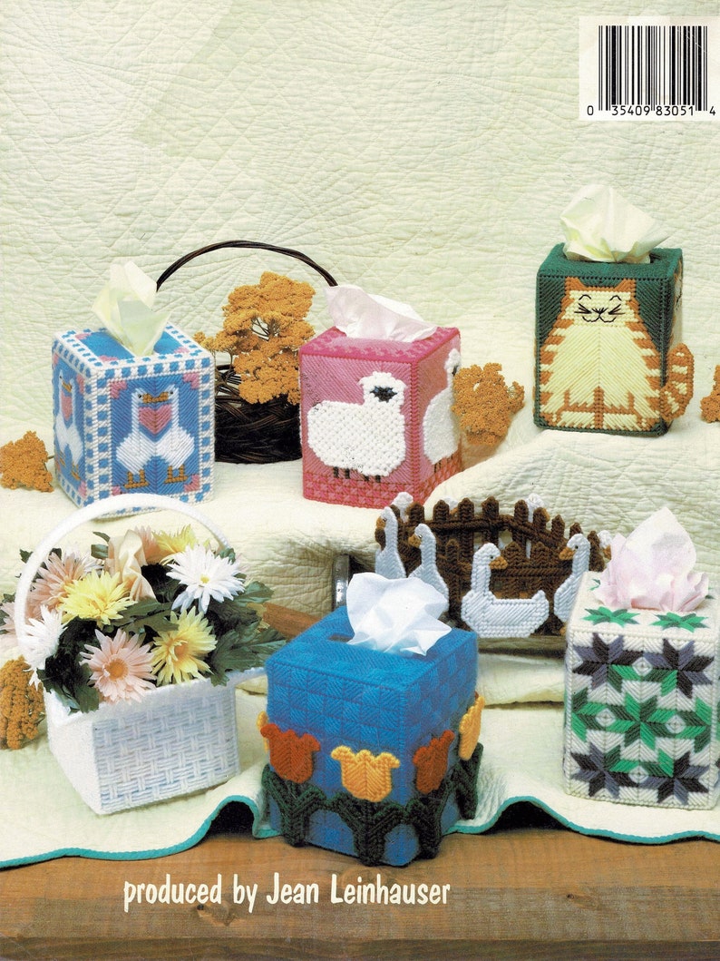 Country Tissue Box Covers in Plastic Canvas - American School of ...