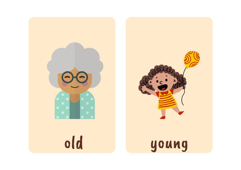 Colorful Opposites Flashcards for Kids: Educational Learning Cards ...