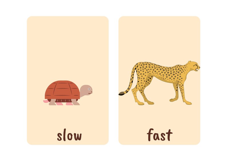 Colorful Opposites Flashcards for Kids: Educational Learning Cards ...