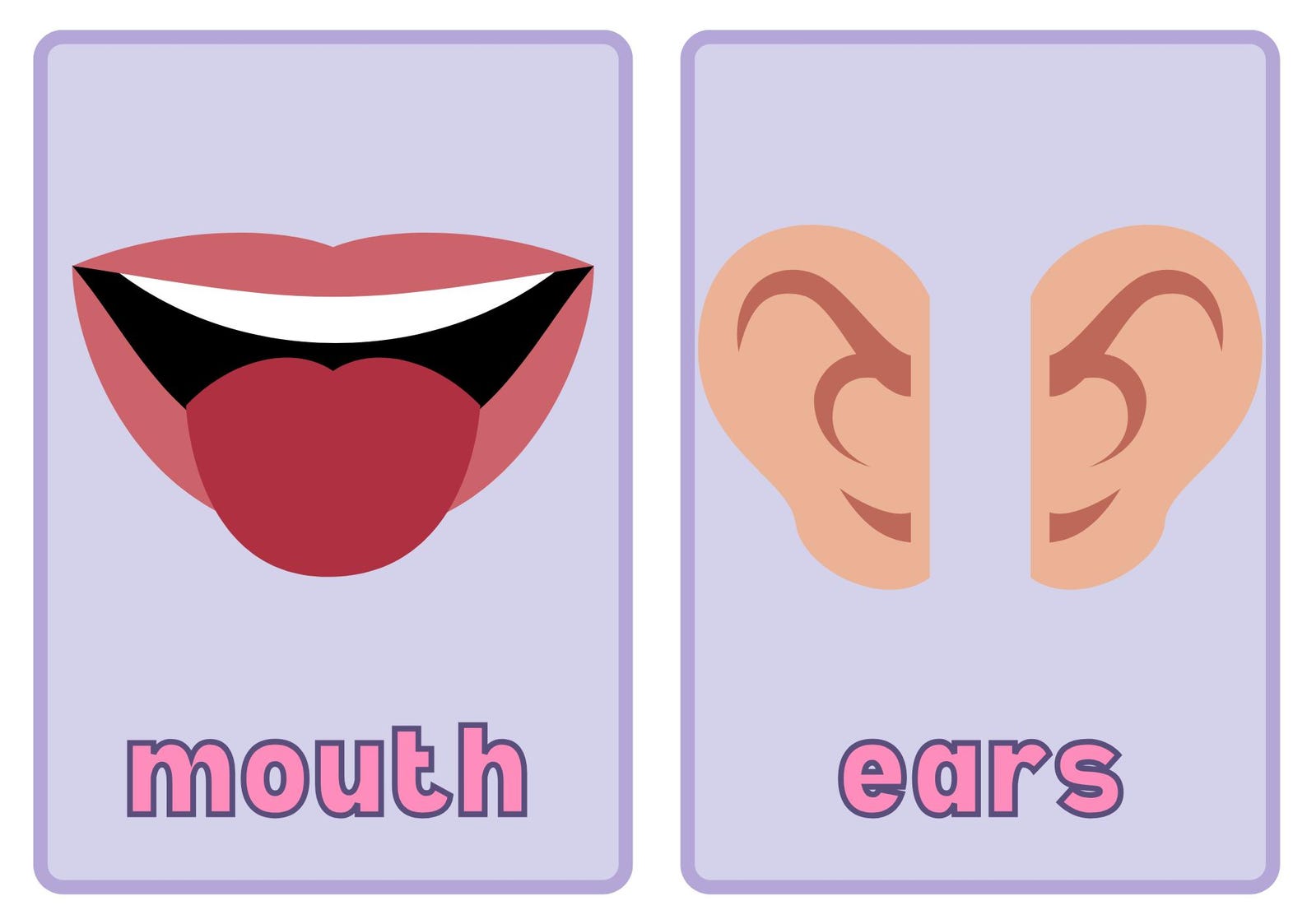 Kids Body Part Flashcards – Printable Learning Cards (digital Download ...