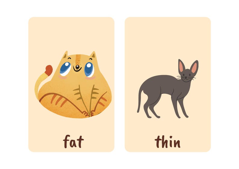 Colorful Opposites Flashcards for Kids: Educational Learning Cards ...