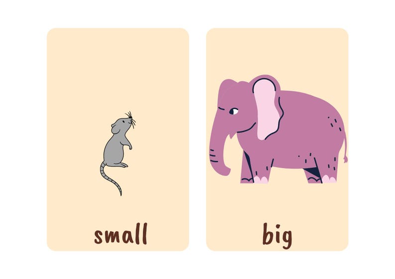 Colorful Opposites Flashcards for Kids: Educational Learning Cards ...
