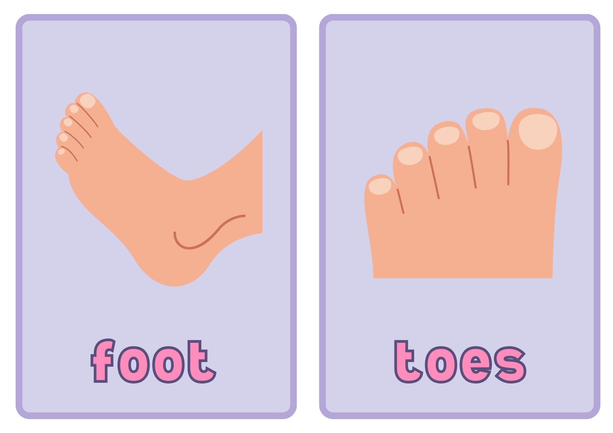 Kids Body Part Flashcards – Printable Learning Cards (digital Download ...
