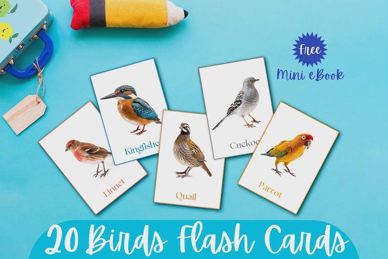 20 Printable Birds Flashcards + FREE Mini Ebook, Educational Bird Cards ...