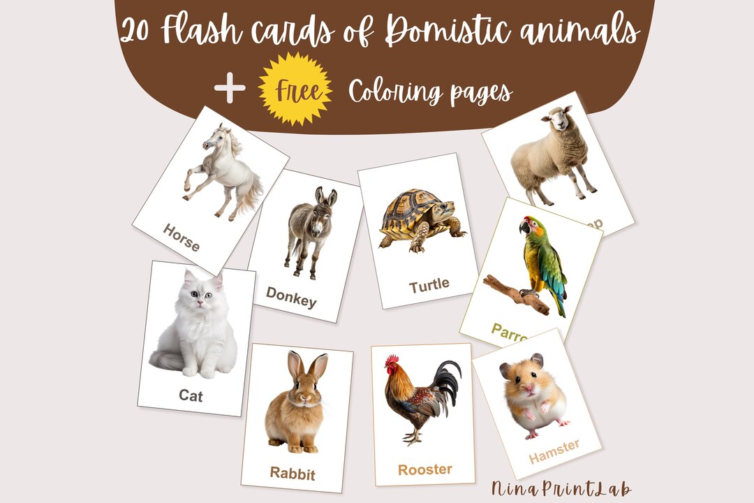 20 Printable Domestic Animals Flashcards + FREE Coloring Book ...