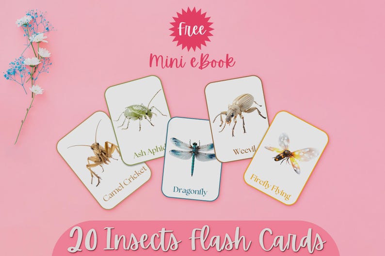 20 Printable Insects Flashcards + FREE Mini Ebook, Educational Bug ...