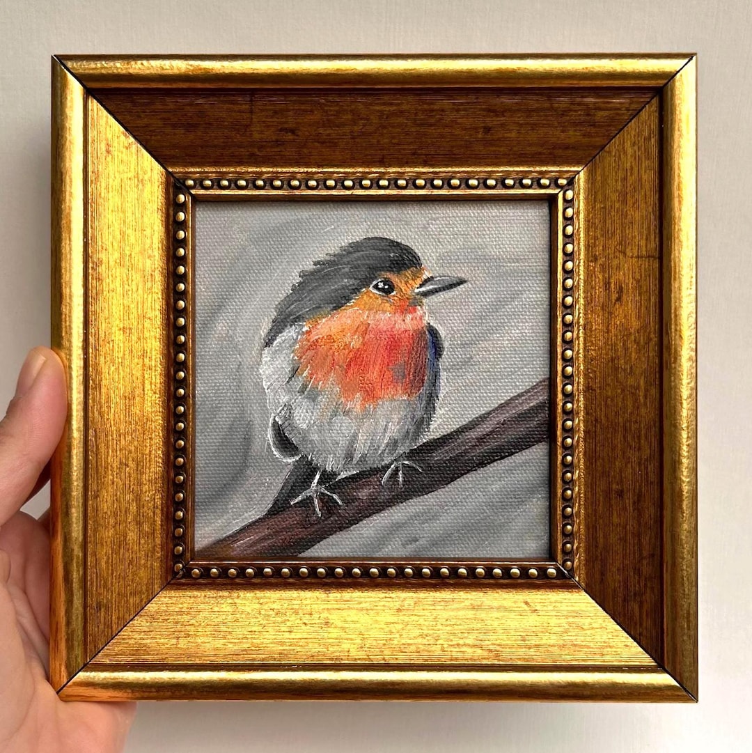 Framed Robin Bird Oil Painting: Signed Original Canvas Art - Etsy