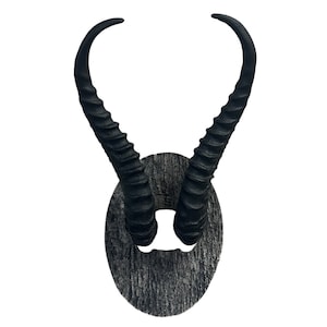 black springbok props