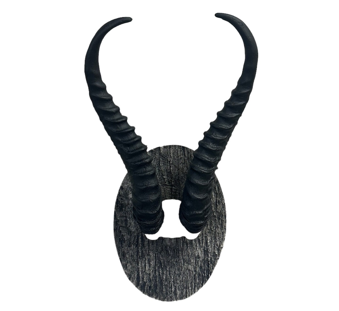 African Male Springbok Horns Faux Replica Taxidermy Skulls Horns ...