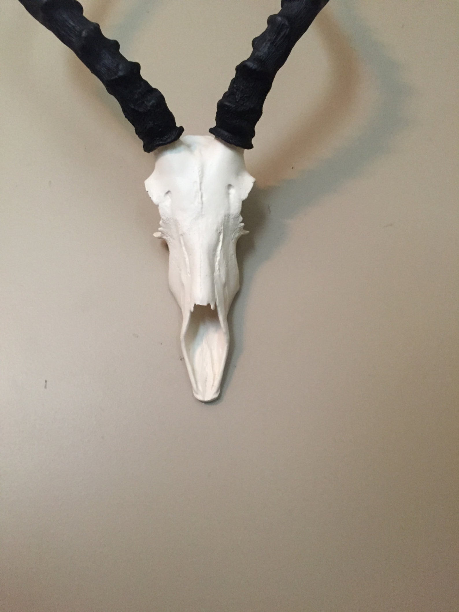 Hand Made Faux African Impala Impalla Skull and Horns - Etsy
