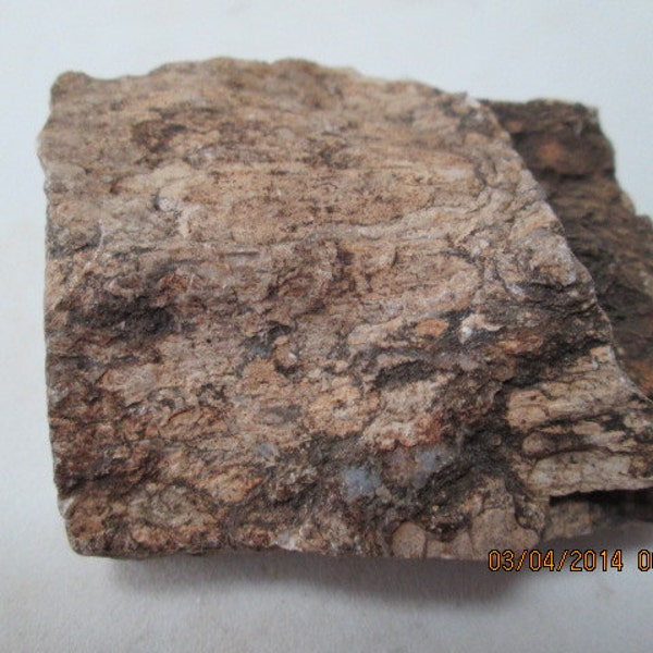 Agatized Limb Cast - Etsy