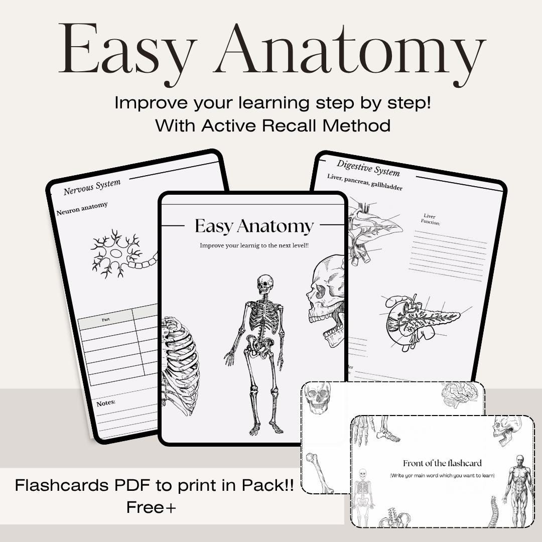 Anatomy Digital Template Easy Anatomy | Study Guide & Flashcards PDF ...