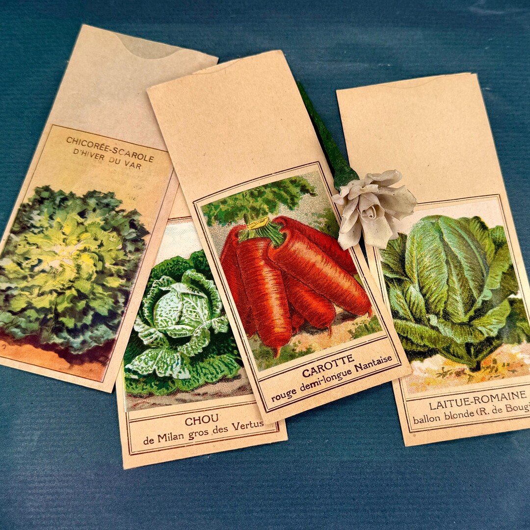 Antique French Vegetable Seed Packets: 1920s Ephemera for Collage - Etsy
