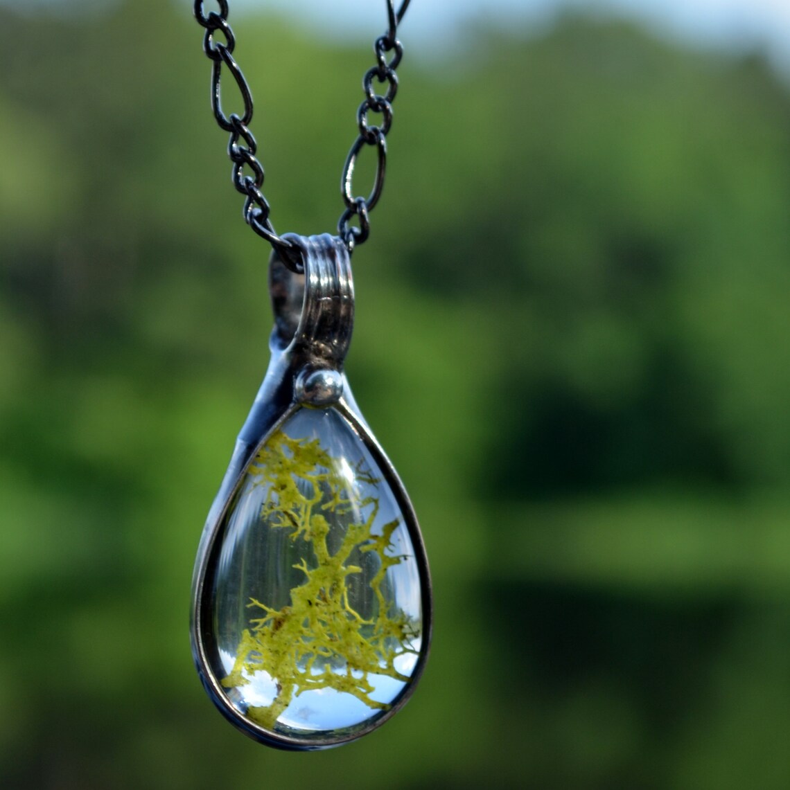 Terrarium Moss Necklace for Women, Real Moss in Glass Tear Drop Pendant ...