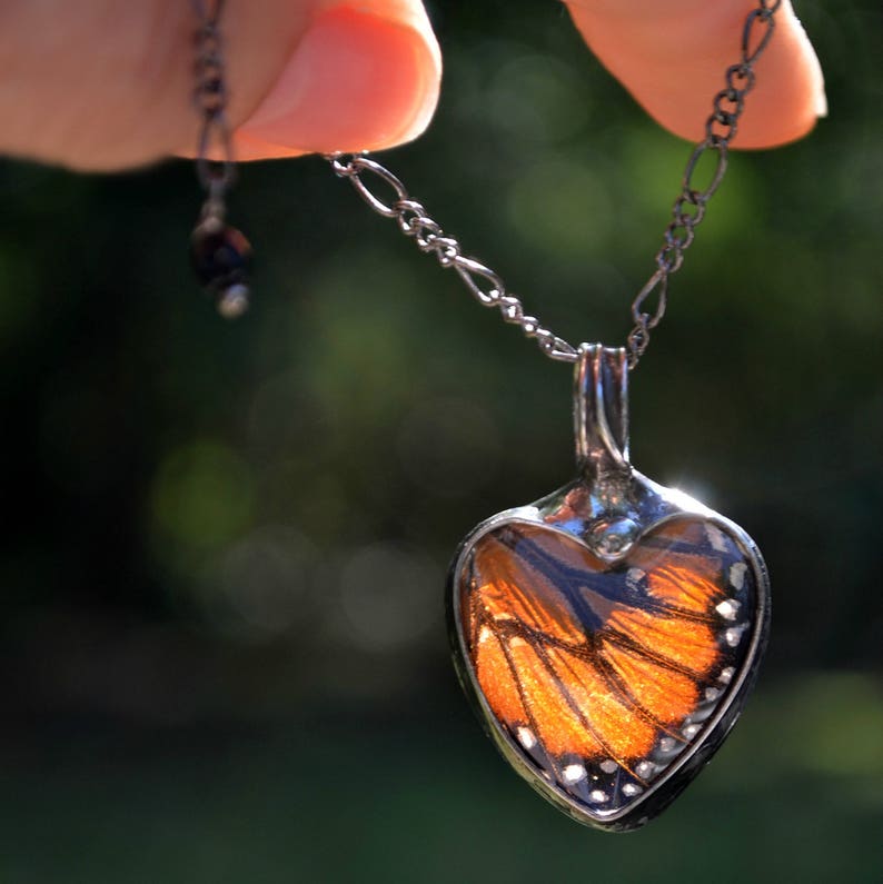 Butterfly Wing Necklace, Symbol of Transformation, Real Butterfly Heart ...