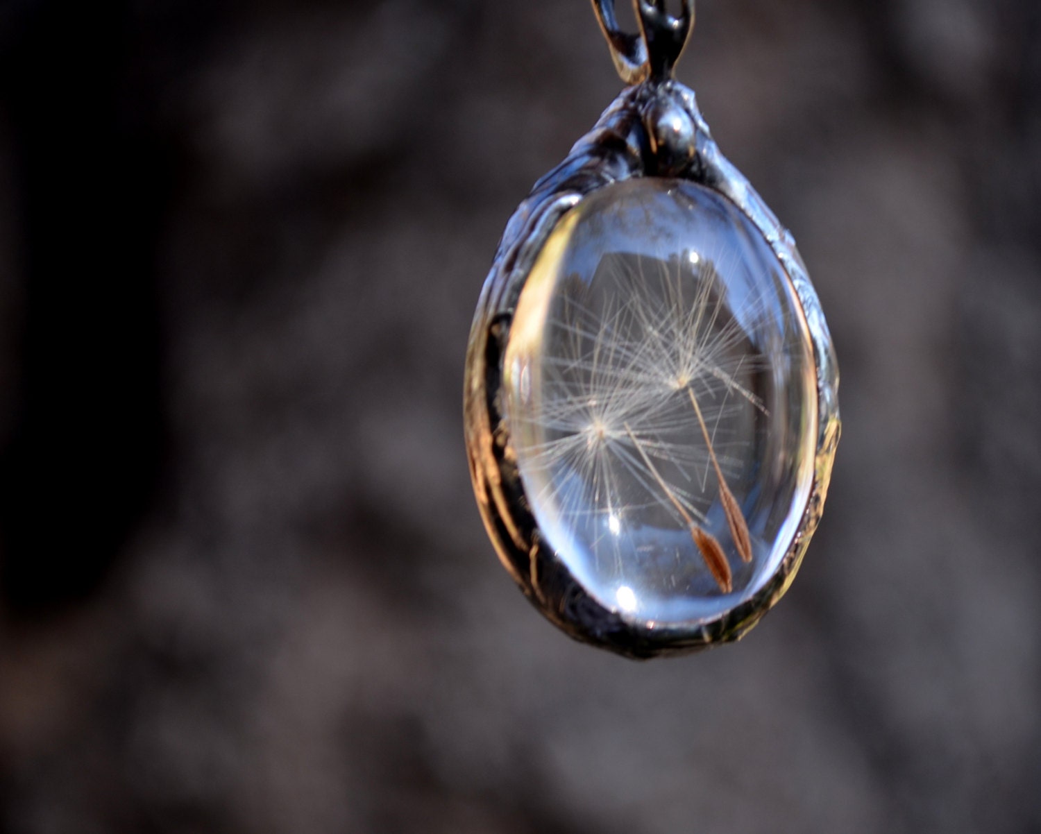 Real Flower Jewelry Real Dandelion Seeds in Glass Real - Etsy