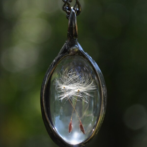 Dandelion Gifts - 60+ Gift Ideas for 2026