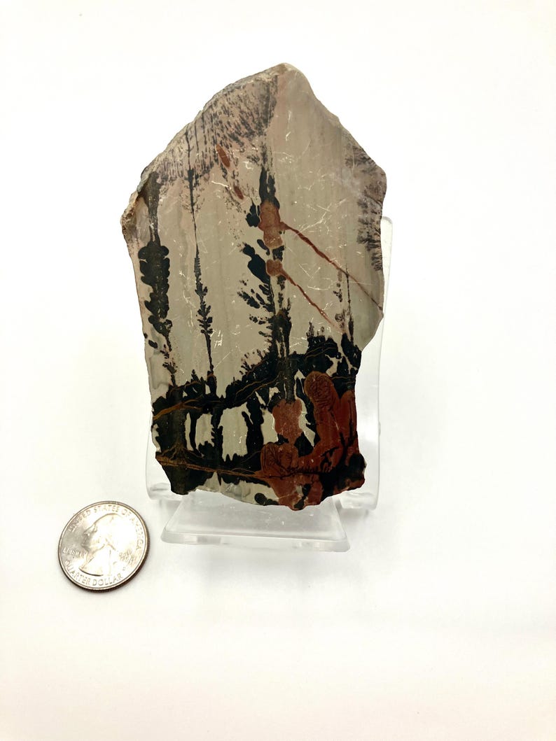 Dendritic Stone - Etsy