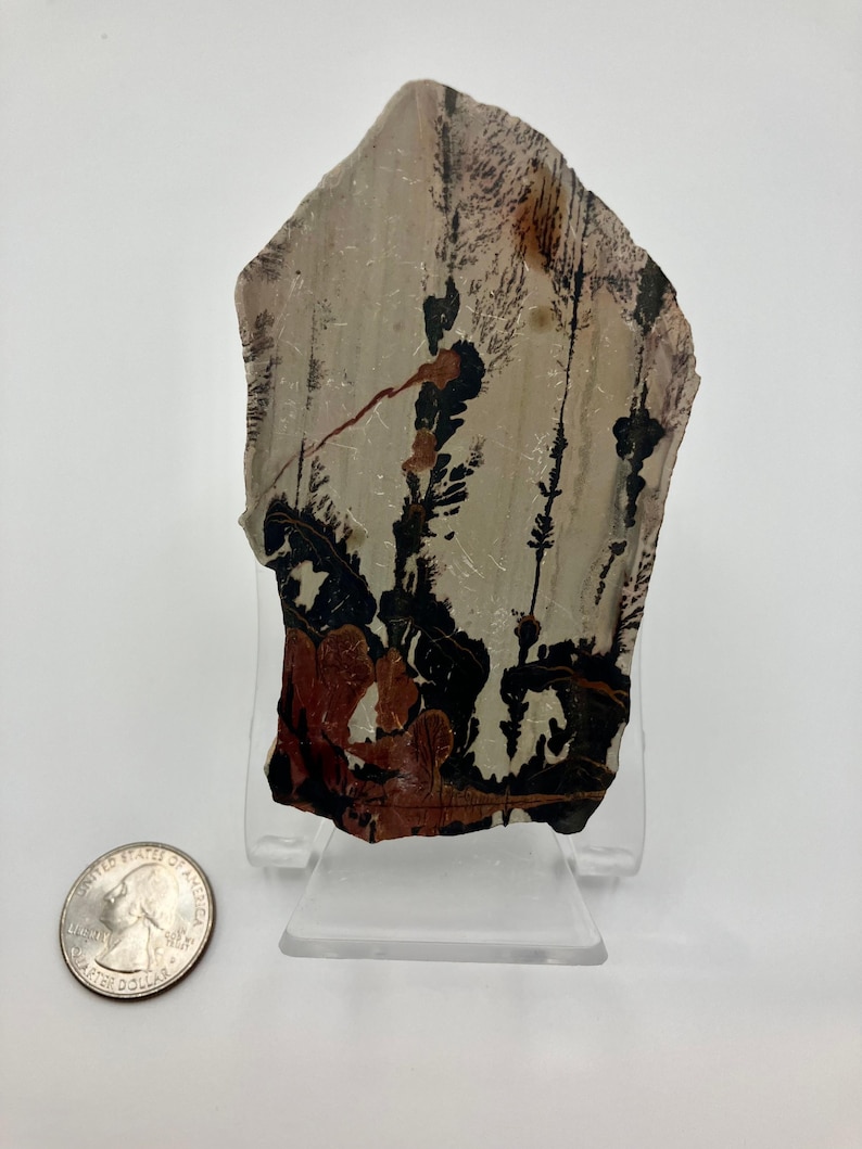Dendritic Stone - Etsy