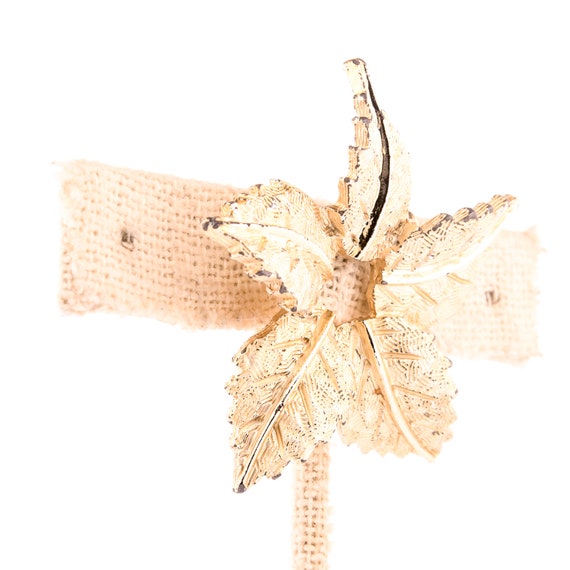 Golden Star Leaves Brooch - Gem