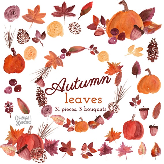 Fall Watercolor Flower Clip Art Commercial Use Autumn Leaves Watercolor ...