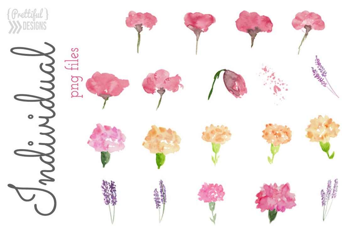 Watercolor Flower Clip Art Commercial Use 54 Individual - Etsy