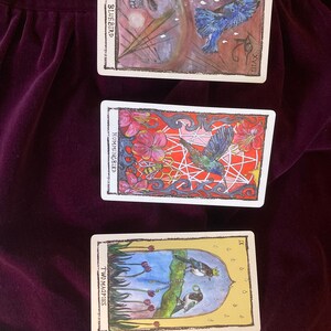 Oracle Deck Limited Edition Luxury Large GOLD FOILED Augury Ascension ...