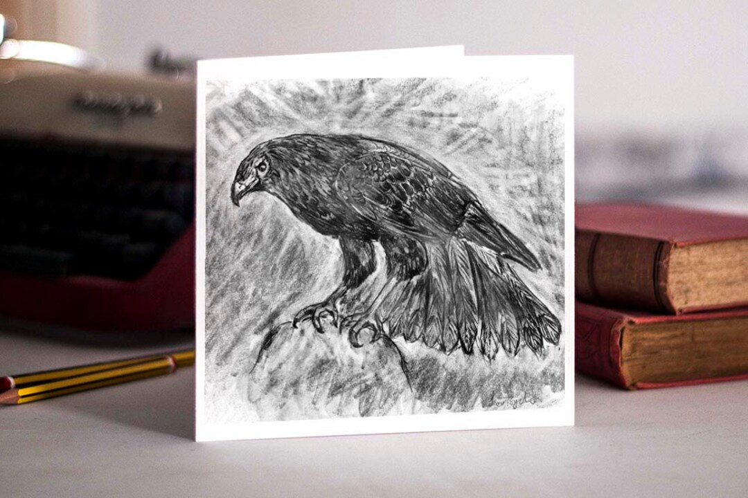Harris's Hawk Greetings Card - Beautifully Drawn Luxury Handmade on ...