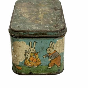 Vintage 1920s Peter Rabbit Lunch Pail Tin - Etsy