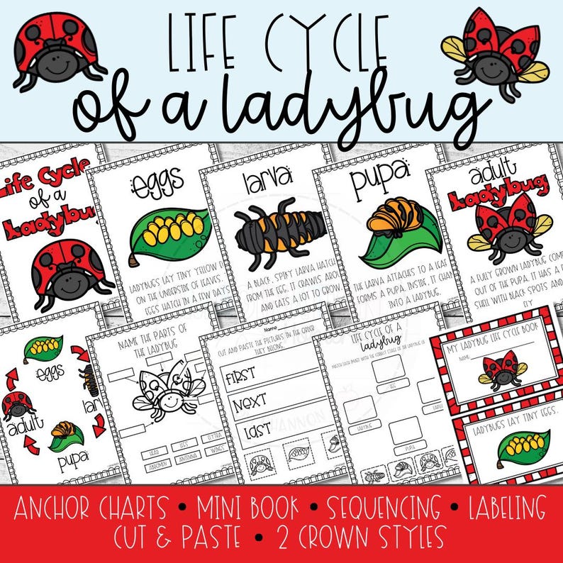 Ladybug Life Cycle Activities for Kindergarten With Mini Book, Hat ...