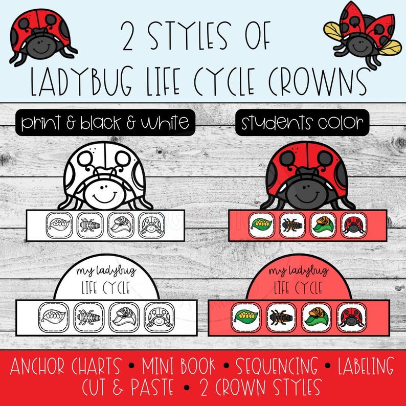Ladybug Life Cycle Activities for Kindergarten With Mini Book, Hat ...