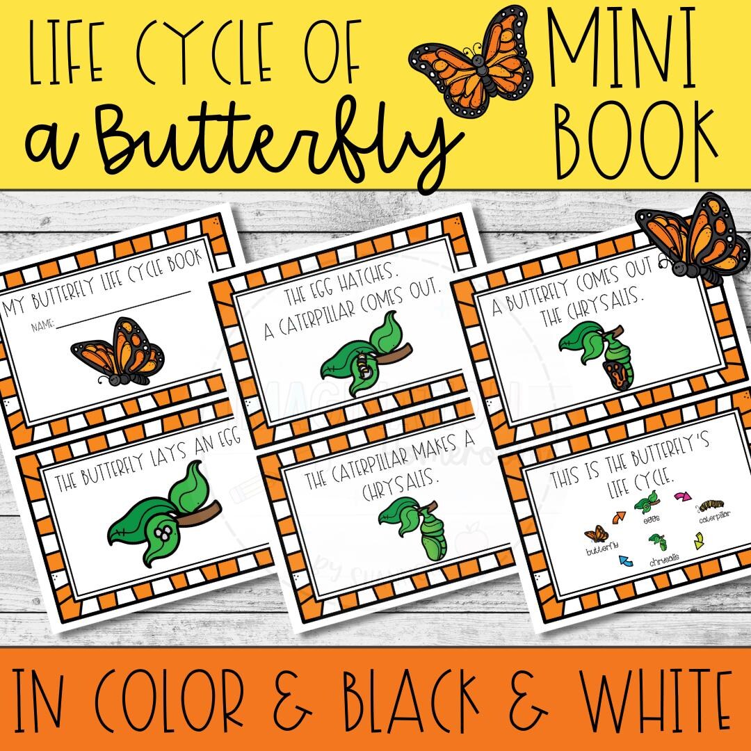 Printable Life Cycle of a Butterfly Mini Book for Kindergarten and ...