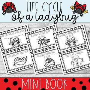 Printable Life Cycle of a Ladybug Mini Book for Kindergarten and ...