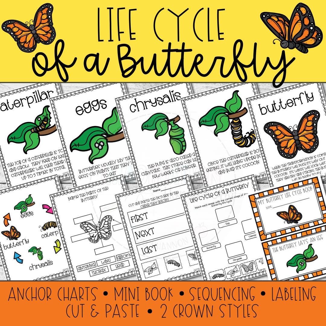 Butterfly Life Cycle Activities for Kindergarten With Mini Book, Hat ...