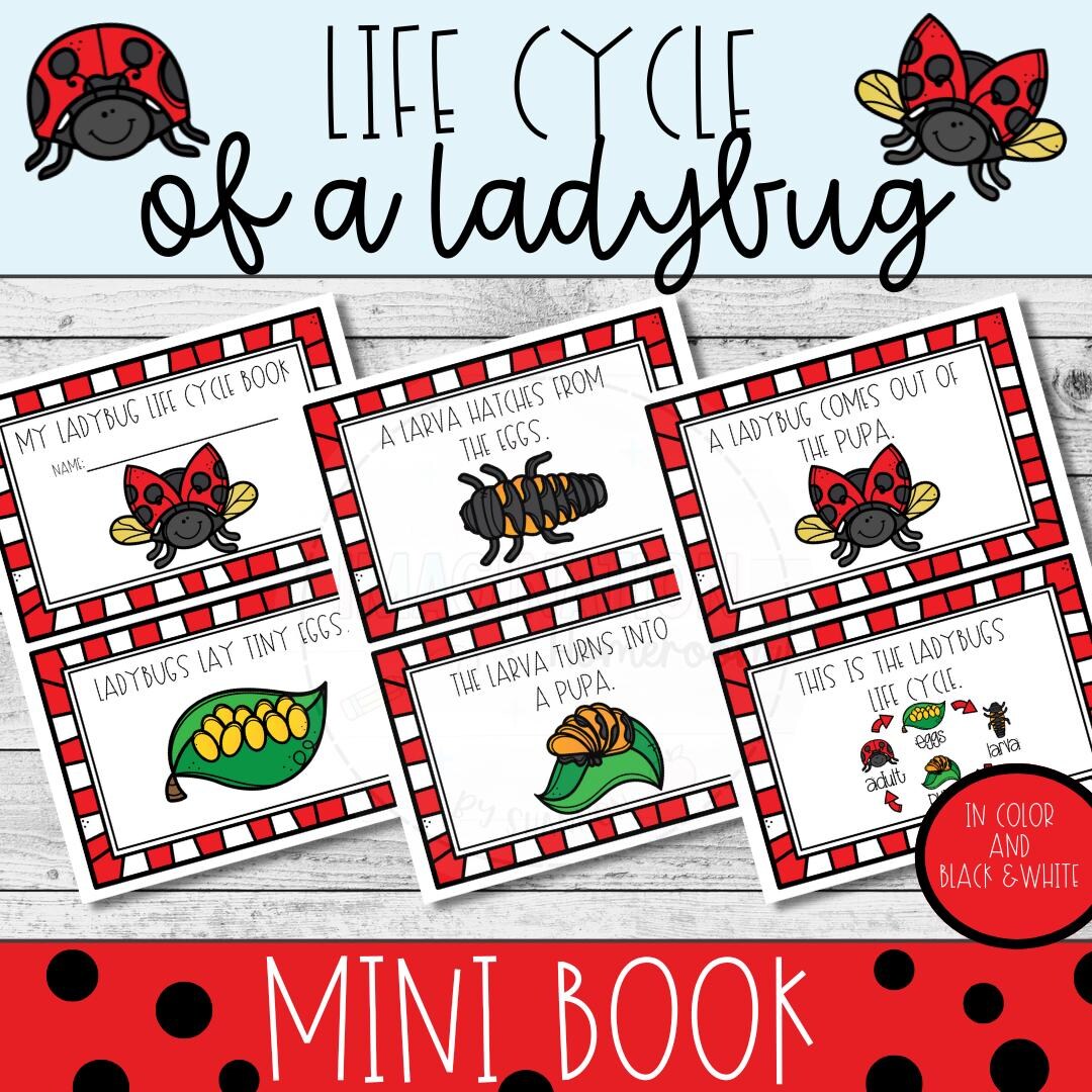 Printable Life Cycle of a Ladybug Mini Book for Kindergarten and ...