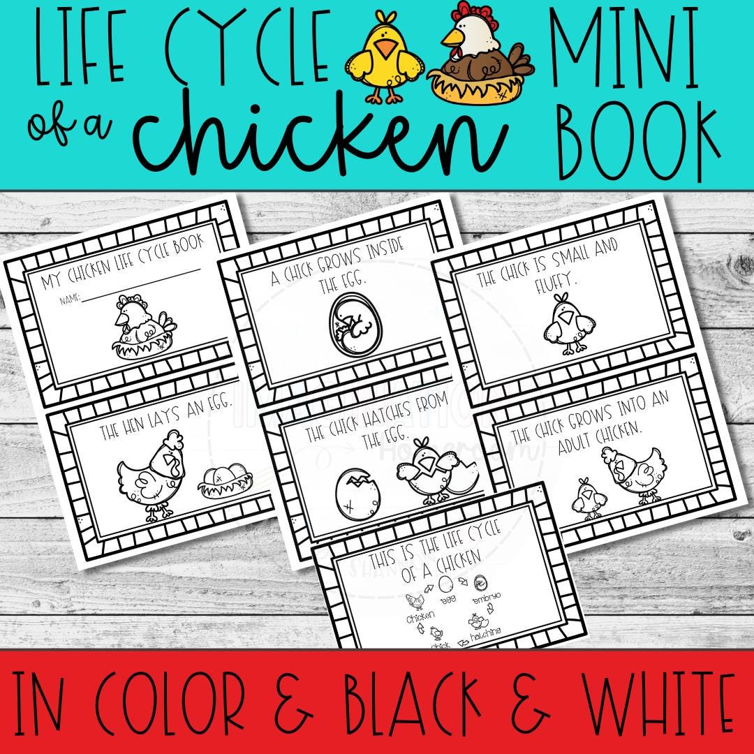 Printable Life Cycle of a Chicken Mini Book for Kindergarten and ...