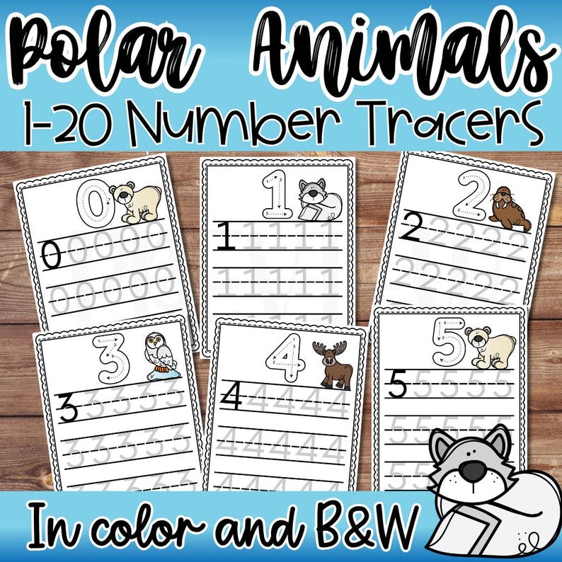 Polar Animals Math Number Tracing Sheets 1‑20 Preschool Kindergarten ...