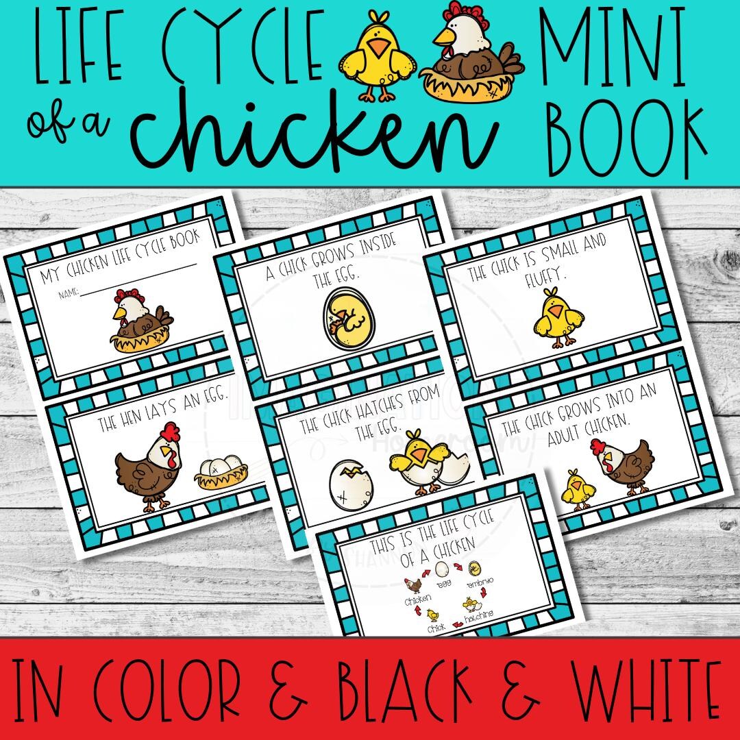 Printable Life Cycle of a Chicken Mini Book for Kindergarten and ...
