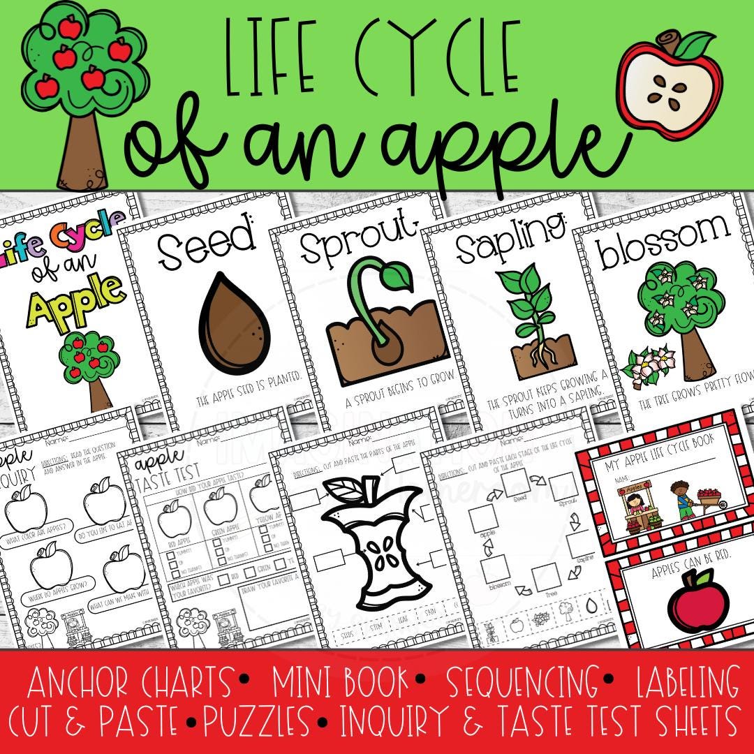 All About Apples | Apple Unit for Kindergarten | Mini Book, Life Cycle ...