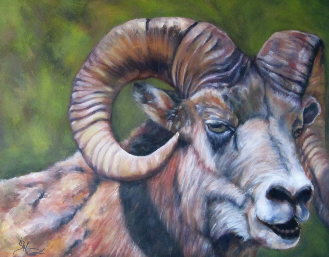 Sheep, Ram, Wildlife, Animal, Original Oil Painting, Realistic, 11" X ...