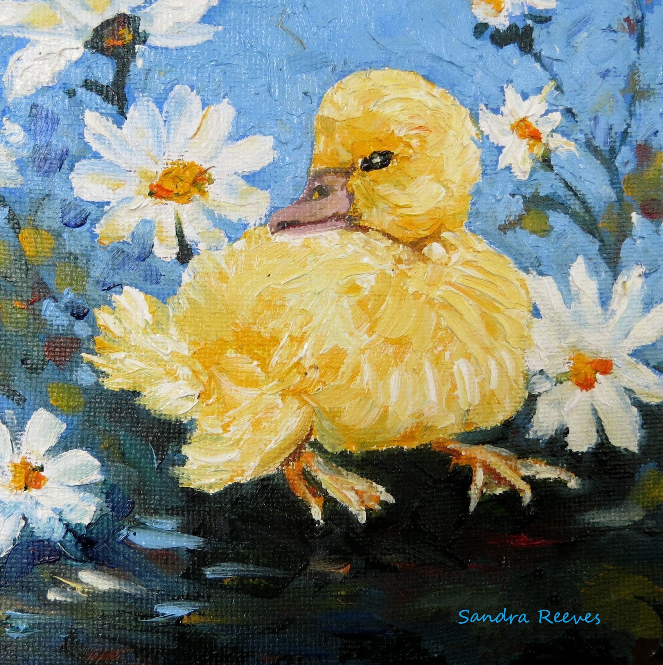 Duck, Spring, Easter, Ducking, Bird, Print on Canvas of Original Oil ...