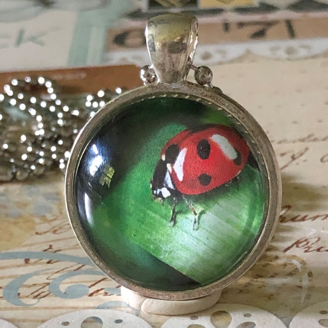 Ladybug / Lady Bug Glass Pendant Necklace 24 Chain - Etsy