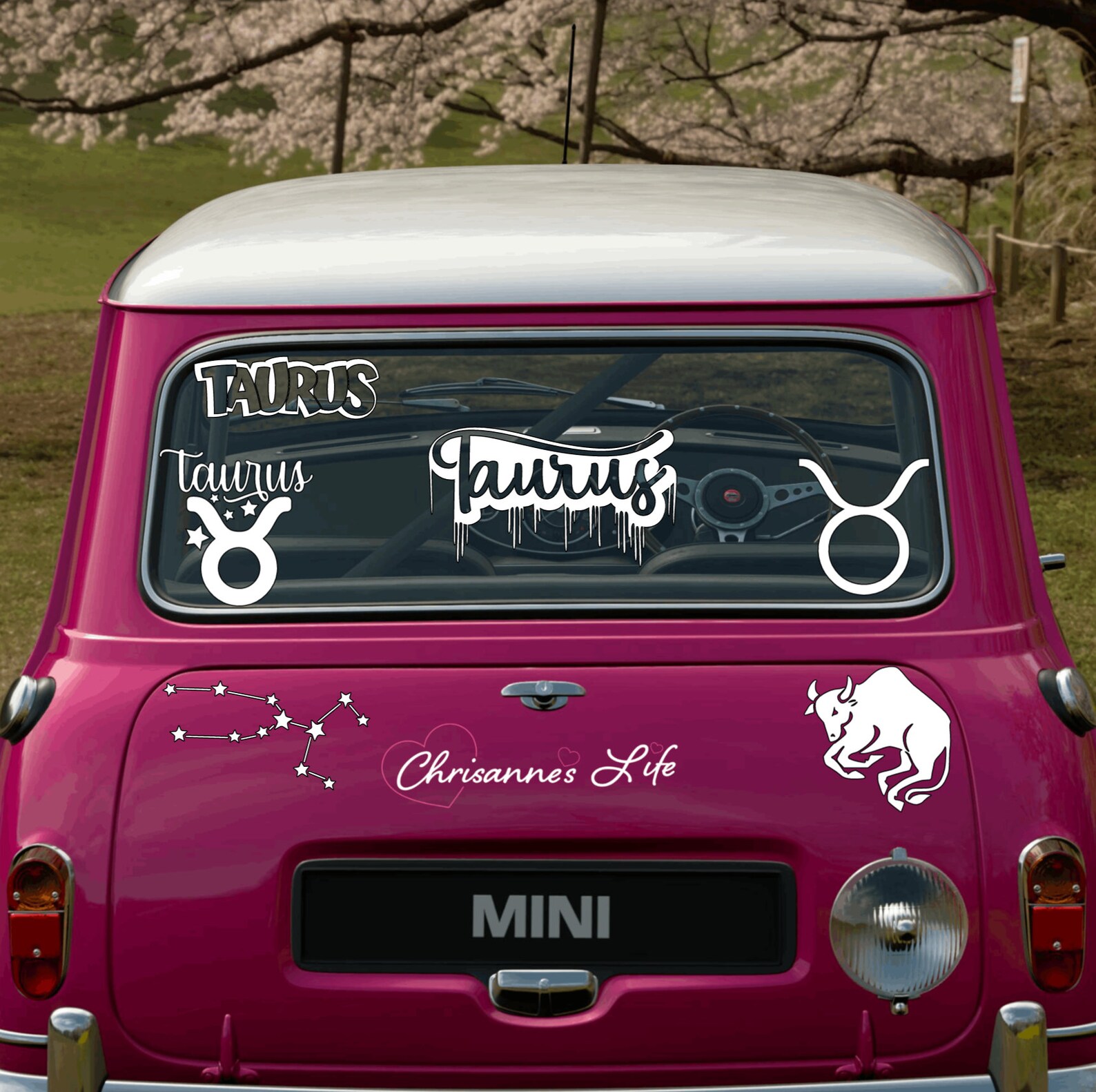 Taurus Zodiac Sign Graffiti Permanent Vinyl Decal in Alluring | Etsy