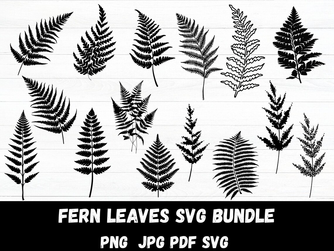 Fern Leaves Svg, Fern Cricut, Fern Svg Bundle, Fern Leaf SVG, Fern ...