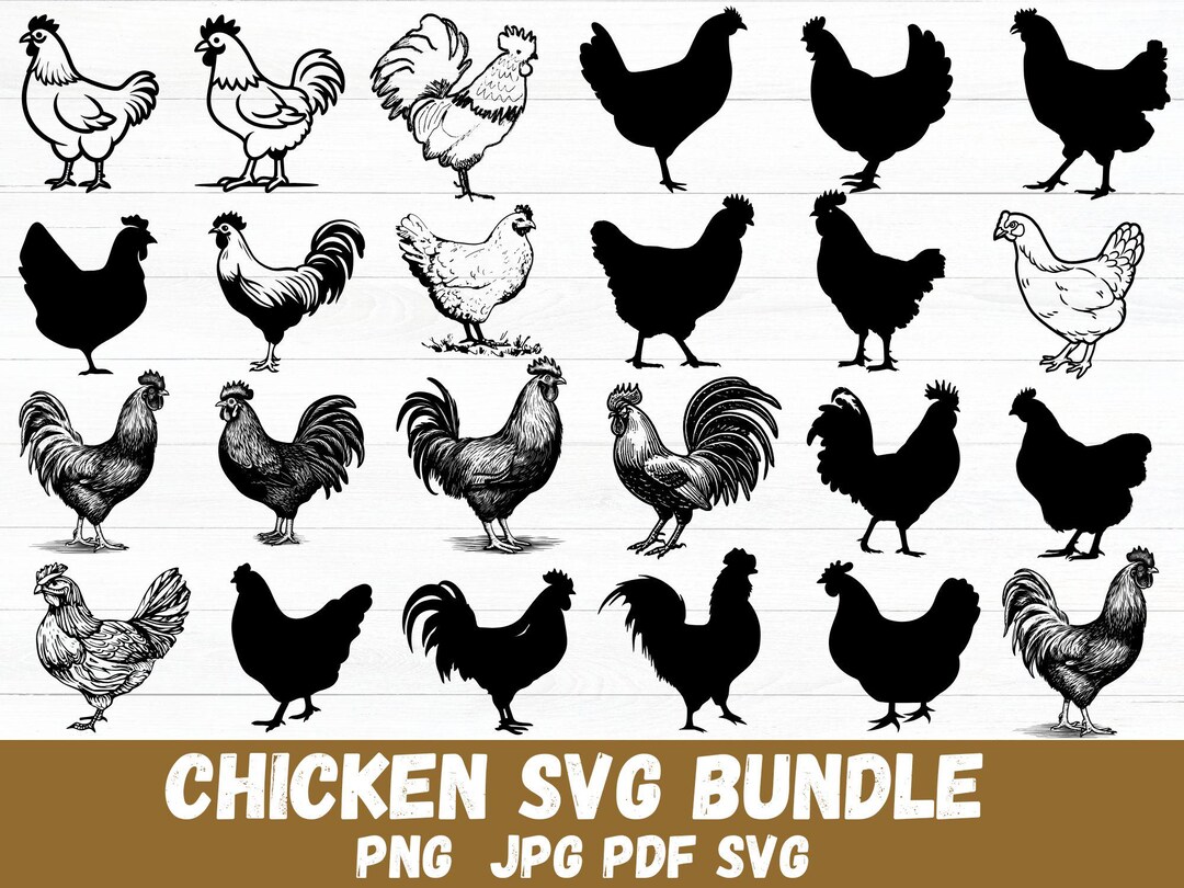 Chicken Svg Bundle, Chicken Png Bundle, Chicken Clipart, Chicken SVG ...