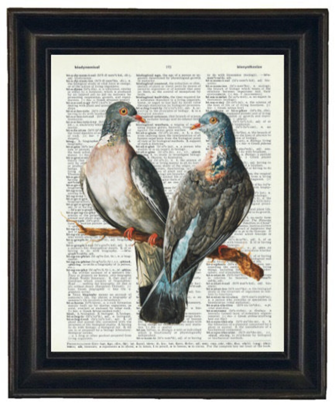 Pigeon Print, Pigeon Art, Pigeon Theme, Pigeon Dictionary Print, Pigeon ...