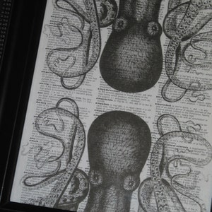 OCTOPUS Print Octopus With Crown Print Dictionary Art Print Octopus Art ...