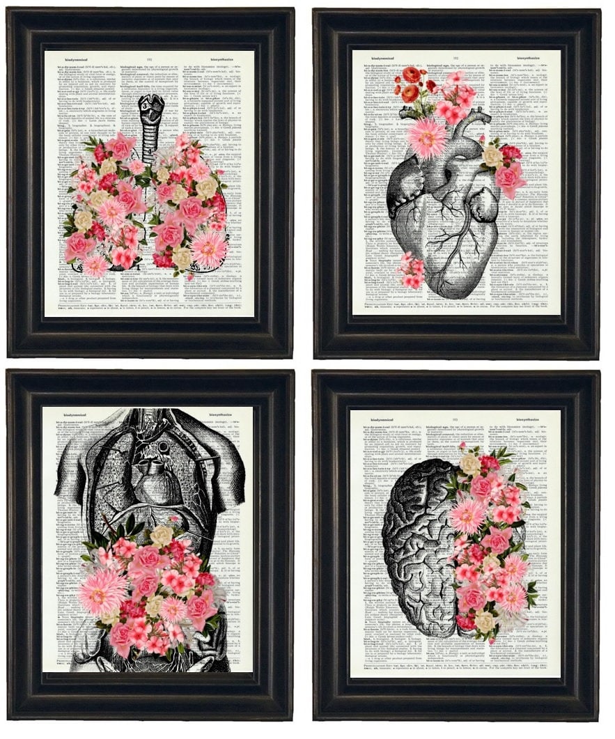 Anatomy Art Prints - Etsy