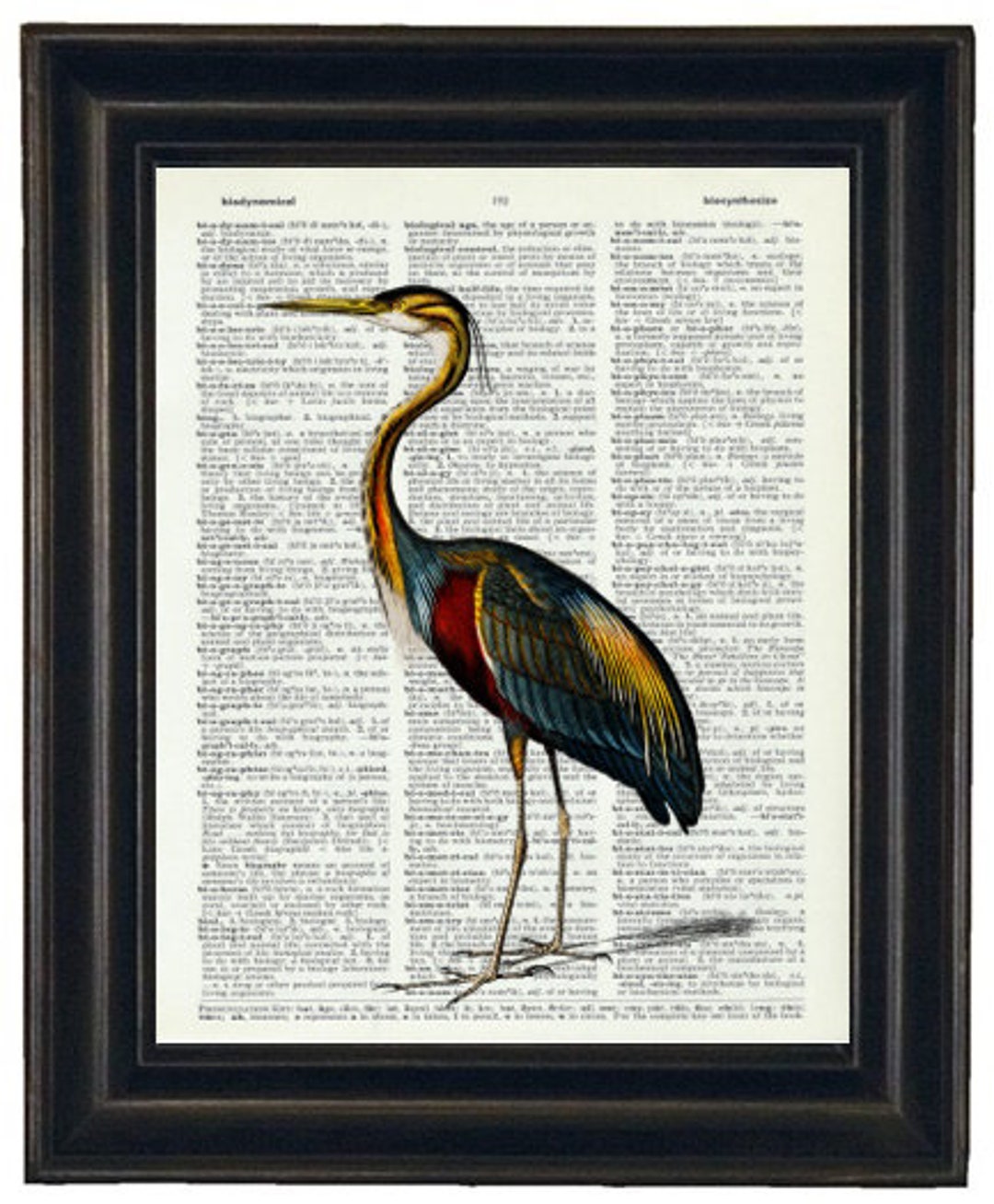 Heron Art Print, Heron Dictionary Print, Waterbird Print, Coastal ...